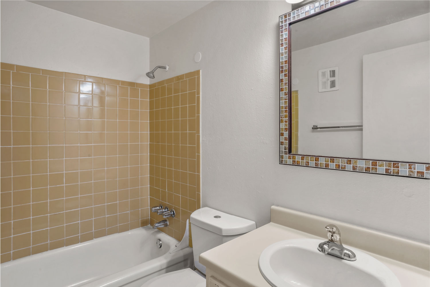 The Iris Case Study – Vareco